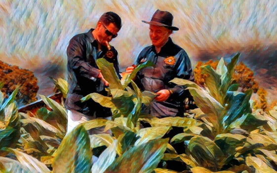 A New Era: The 2026 Marco V Vision – Marco V Cigars